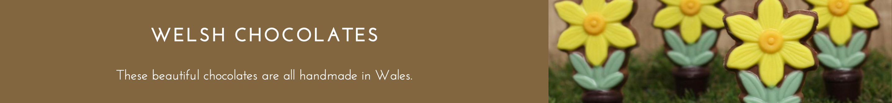 Handmade Welsh Chocolate | Maple Gifts