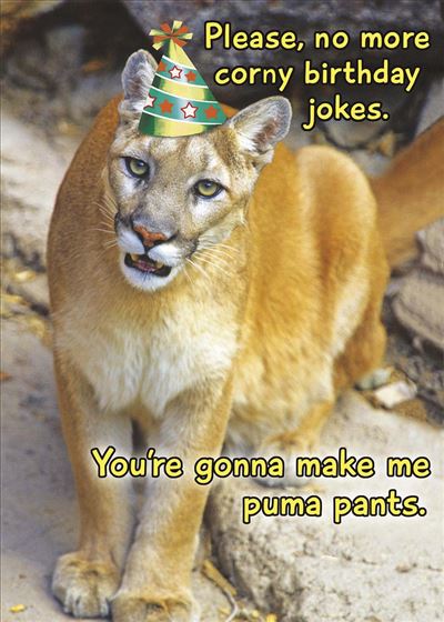 UKG 'Please No More Corny Jokes. You're Gonna Make Me Puma Pants' Birt ...