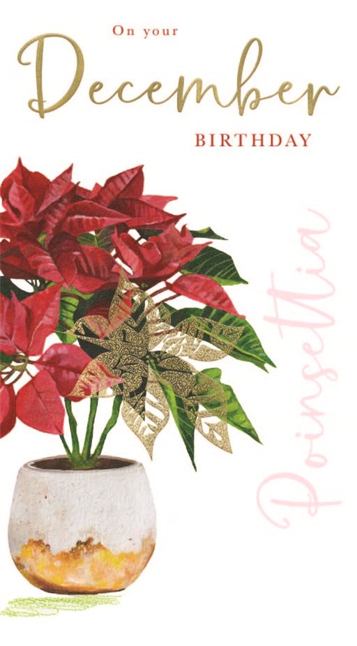 ICG 'On Your December Birthday' Birthday Card — Maple Gifts