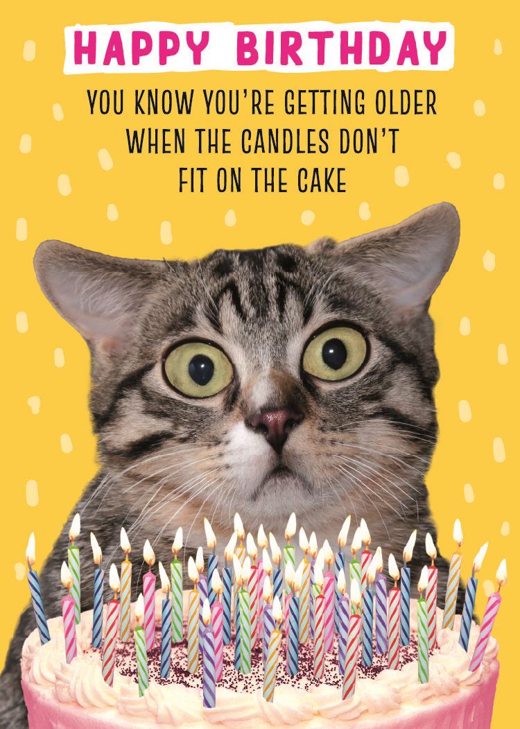 ICG 'You Know Your Older When The Candles Don't Fit The Cake' Birthday ...