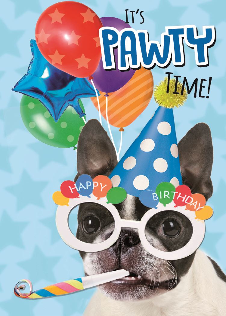 ICG 'It's Pawty Time' Birthday Card — Maple Gifts