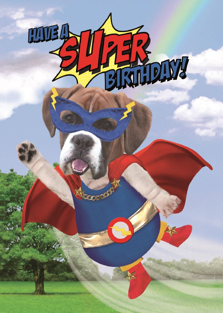 ICG 'Have A Super Birthday' Birthday Card — Maple Gifts