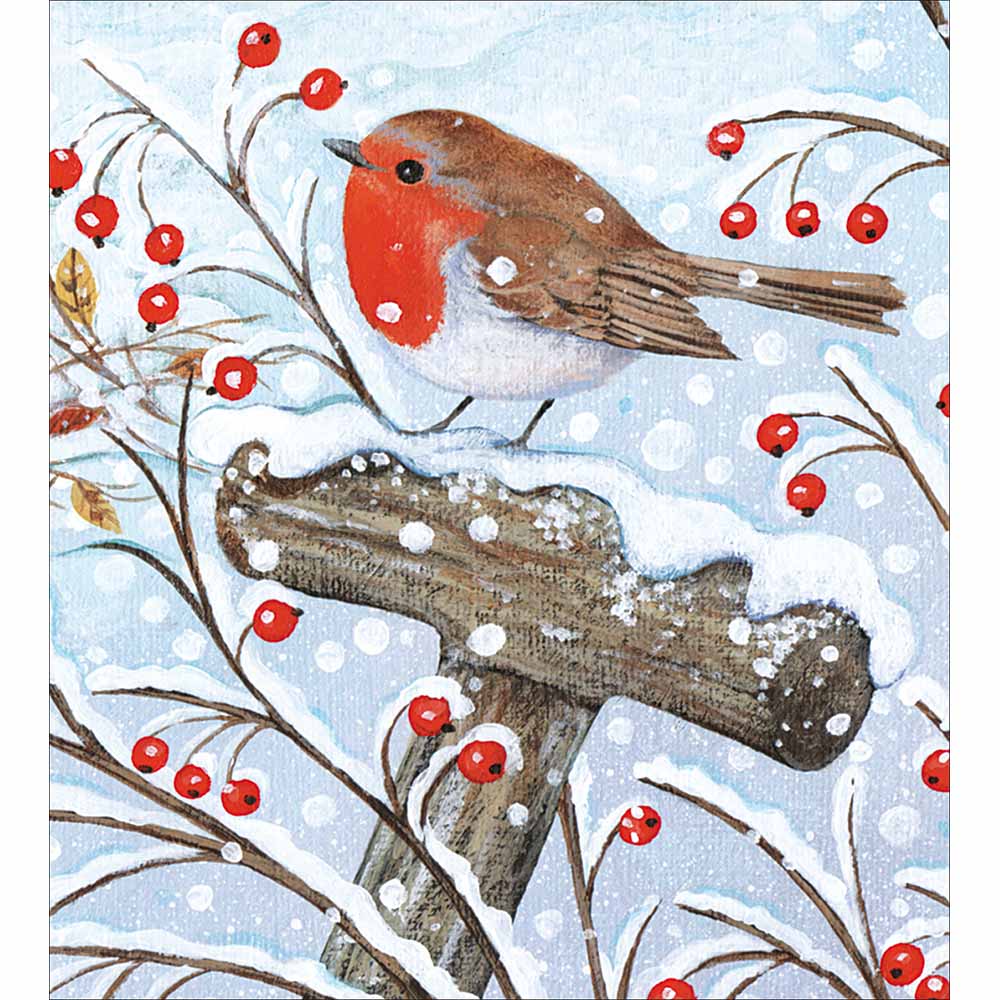 Woodmansterne Red Robin 5 Pack Christmas Cards — Maple Gifts