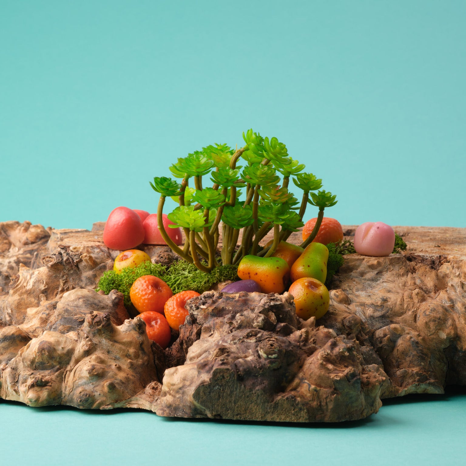 Walnut Tree — Maple Gifts